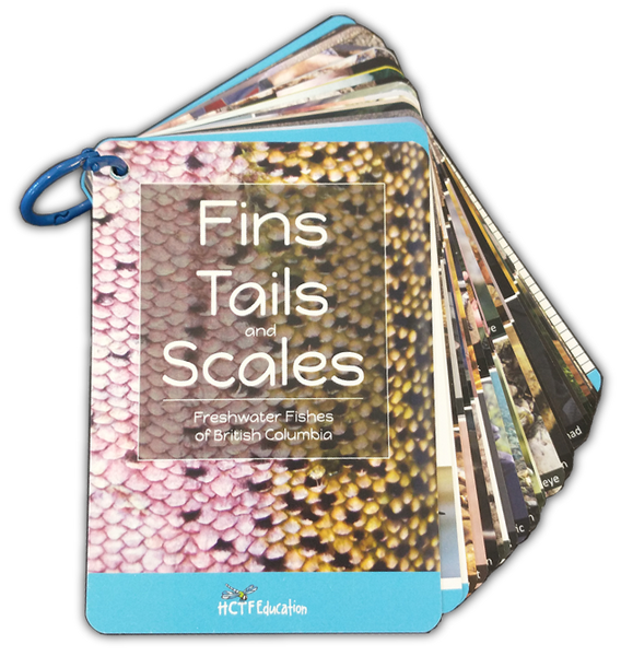 Fins, Tails and Scales Field Identification Cards – Resource Room