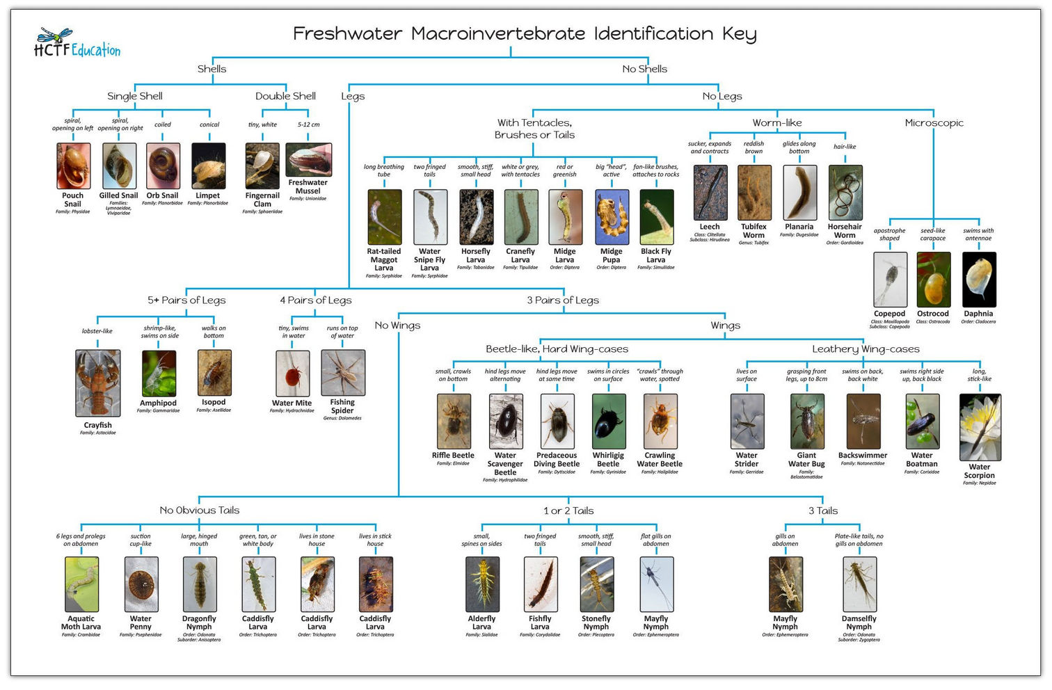 Freshwater Macroinvertebrate Identification Key/Clé d’identification d ...