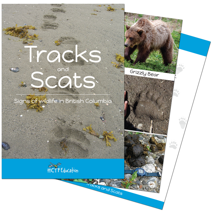 Tracks and Scats - Field Identification Cards – Resource Room