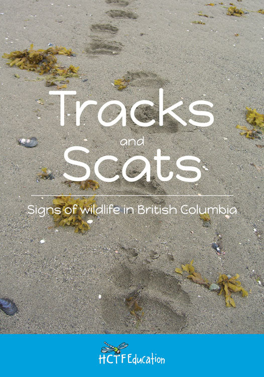 Tracks and Scats - Field Identification Cards – Resource Room